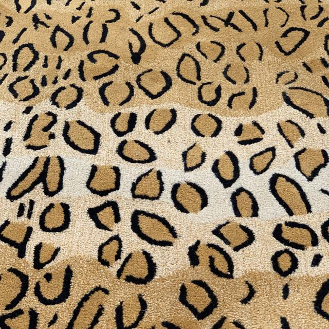 Leopard Spots Rug with Wide Black Border by Serengeti 8' x 10'6" – Re ...
