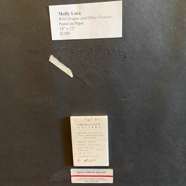 Molly Luce pastel "Wild Grapes and Other Flowers" – Re Antiques