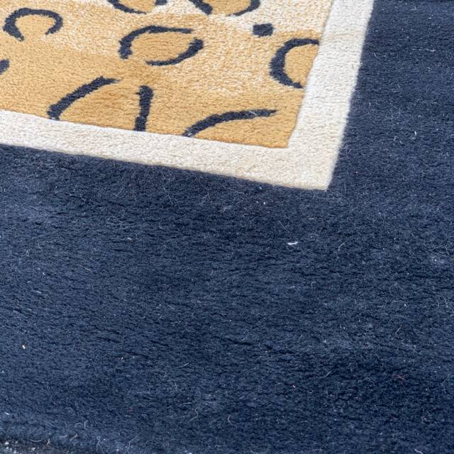 Leopard Spots Rug with Wide Black Border by Serengeti 8' x 10'6" – Re ...